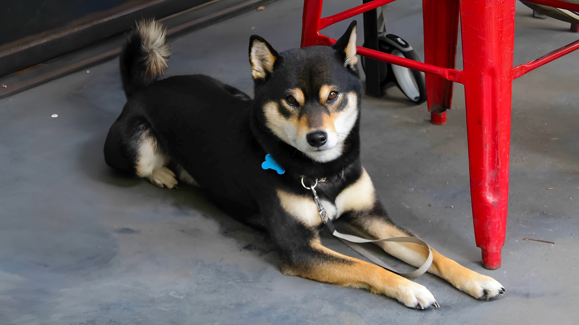 #1 Union Square Restaurant in San Francisco - 620Jones